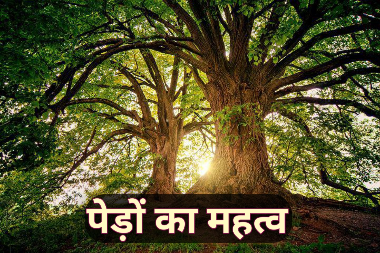 Trees Importance In Hindi - हमारे जीवन में पेड़ो का महत्त्व - soch ka safar